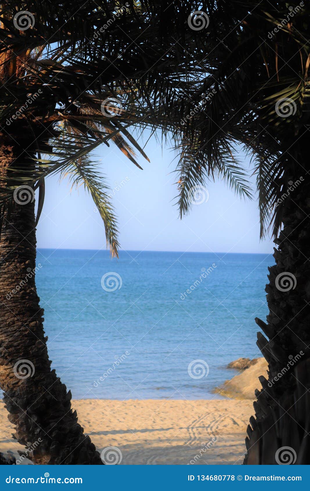 Beach and Palm Tree with Sun Stock Photo - Image of happy, tranquility ...