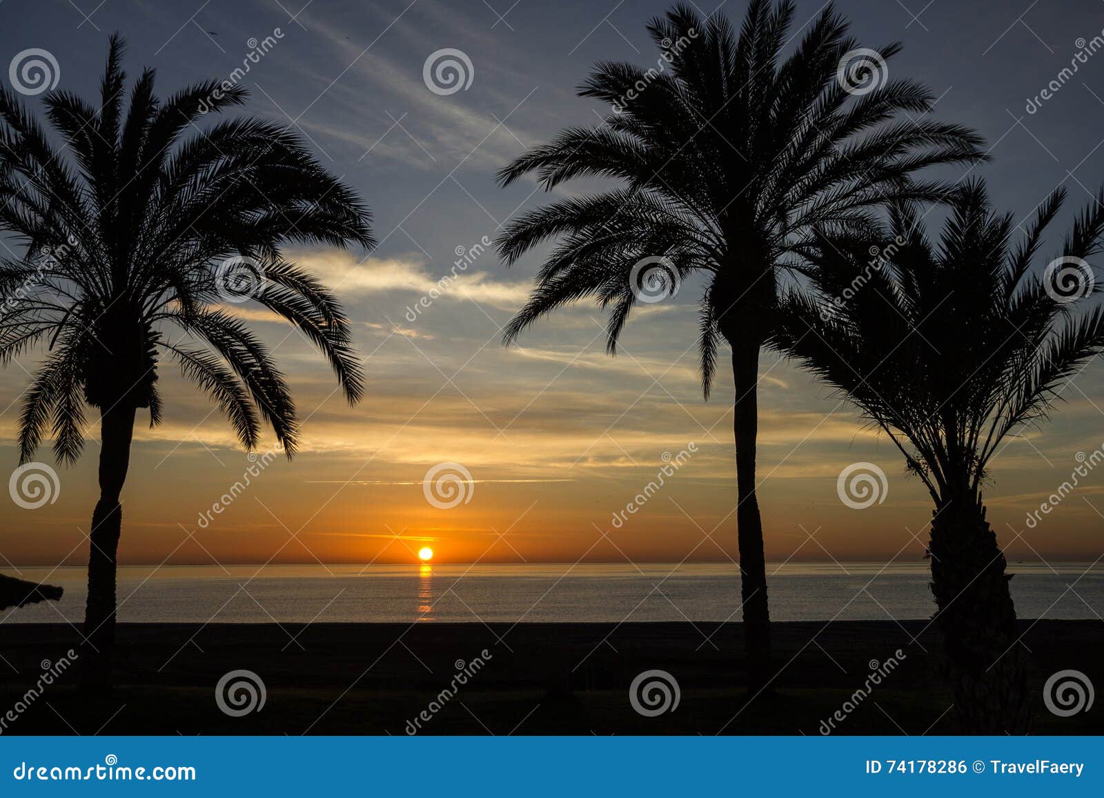 Beach Palm Tree, Sunset View Summer Nature Scene. Stock Photo - Image ...
