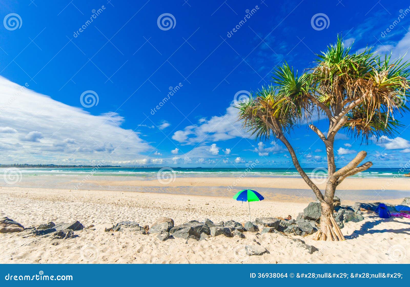 Beach with Palm Tree and Umbrella Stock Photo - Image of nature, blue ...