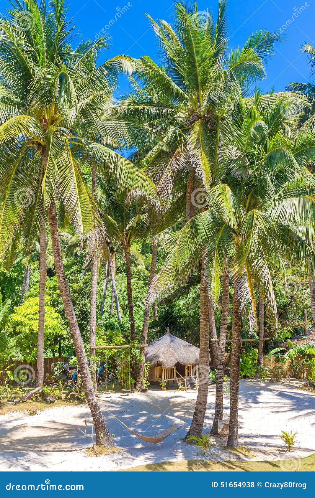 Beach with Palm Trees and Beach Beds, Summer Vacations Stock Photo ...