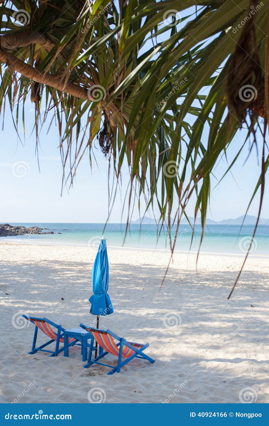 Beach with Palm Trees and Folded Umbrella Stock Photo - Image of love ...