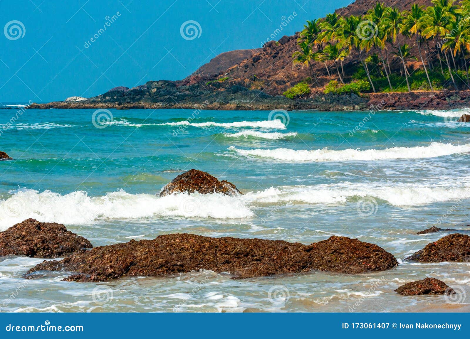 Beach with Palm Trees in Goa. India Stock Image - Image of india, palm ...