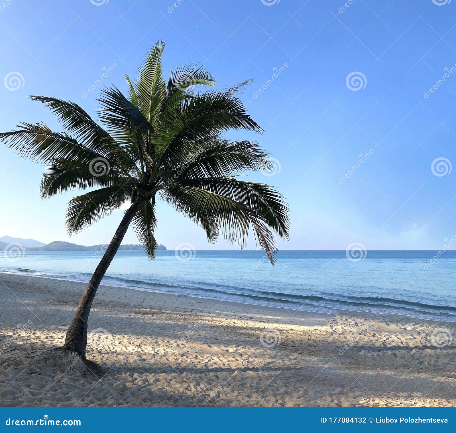 Beach and Palm Trees on the Island of Phuket Stock Photo - Image of ...