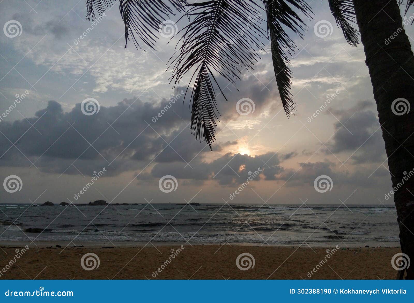 A Beach with Palm Trees and Ocean at Night Stock Photo - Image of ...