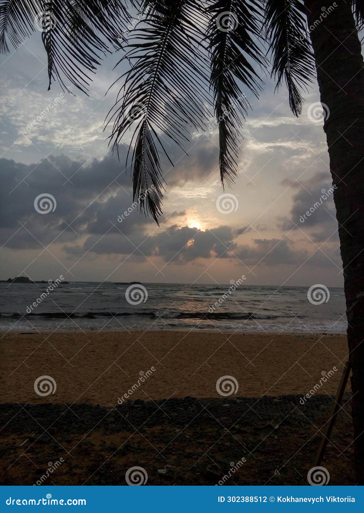 A Beach with Palm Trees and Ocean at Night Stock Photo - Image of sand ...
