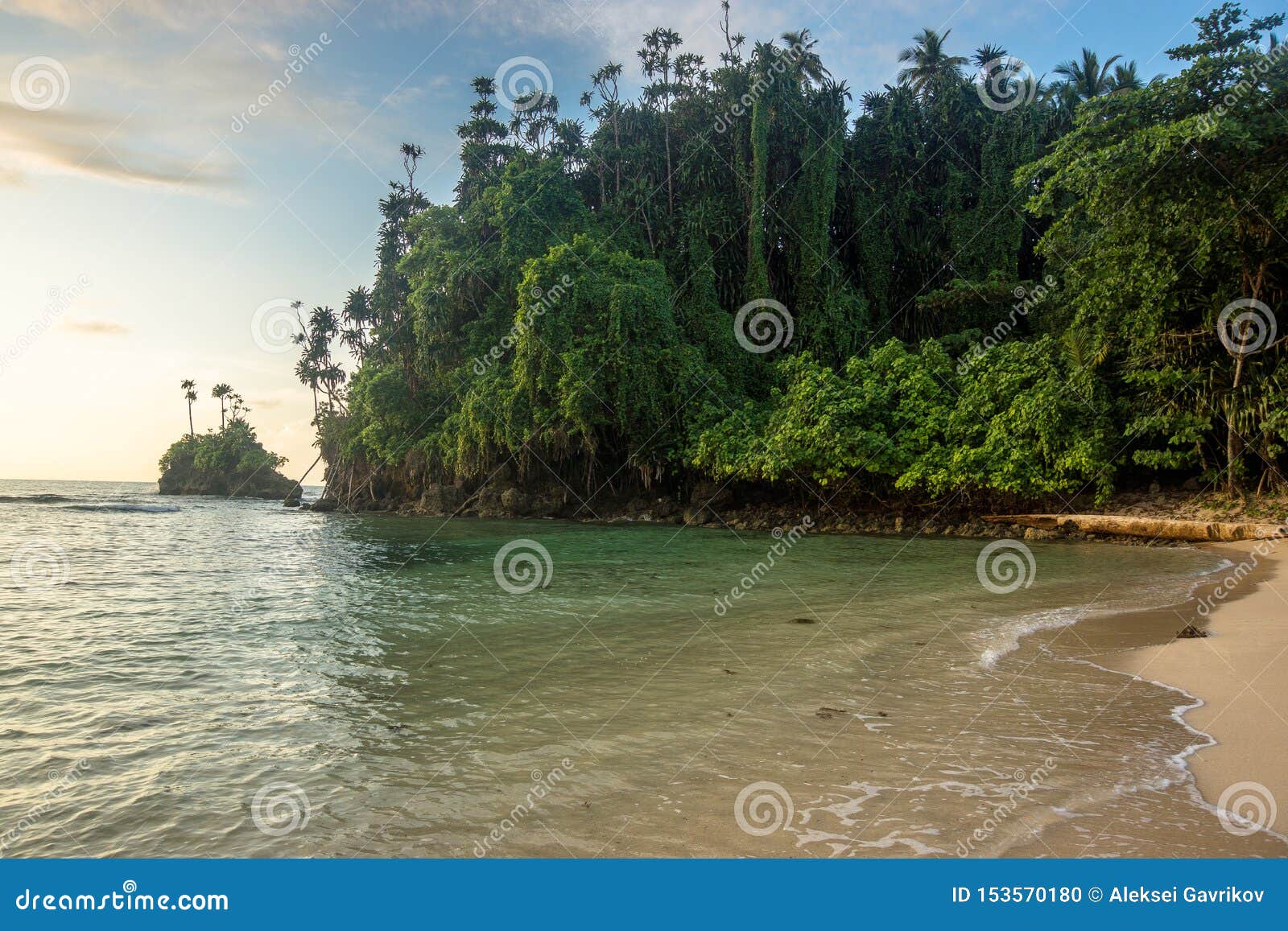 The Beach in Papua New Guinea Stock Photo - Image of cost, forest ...