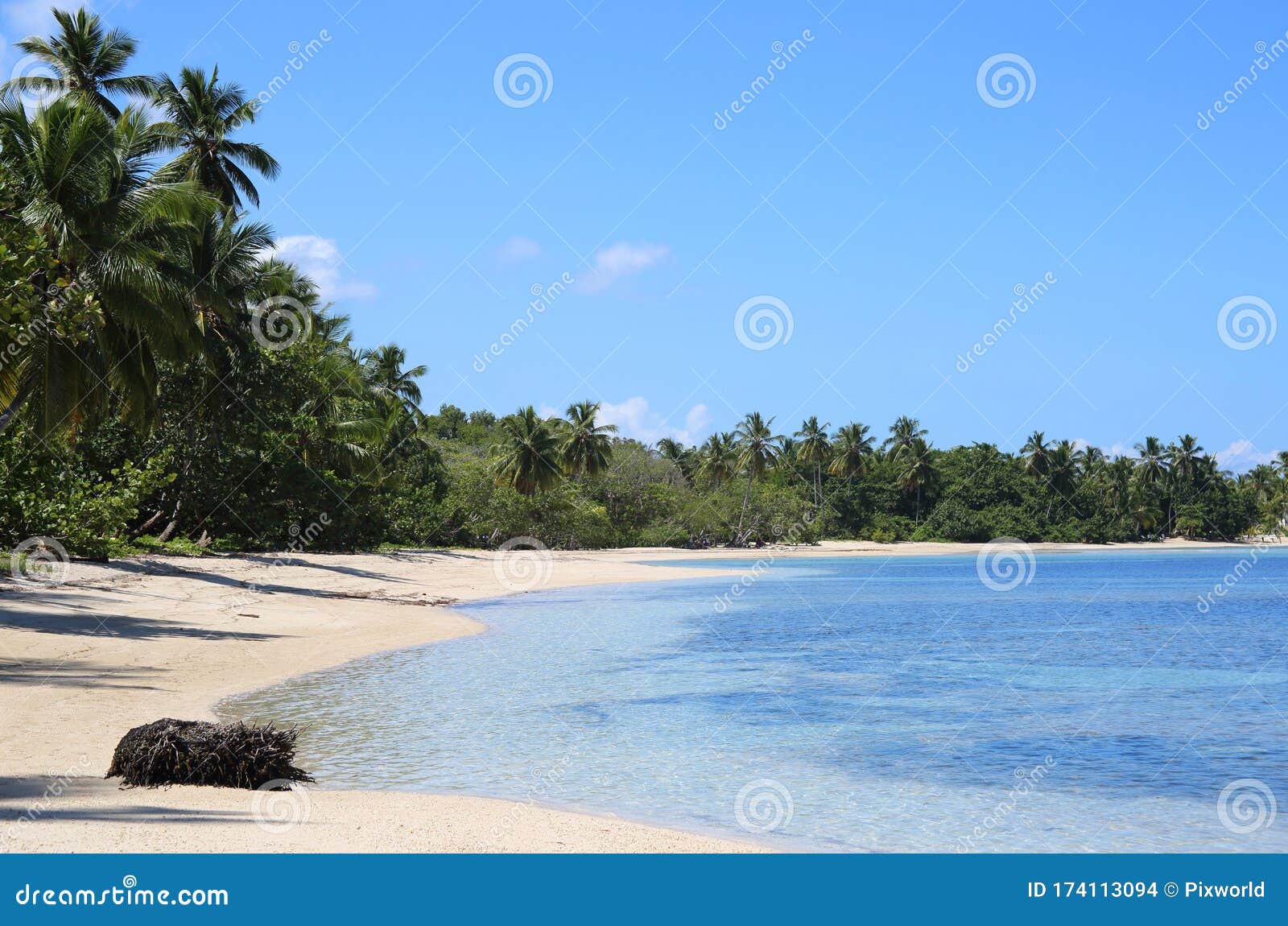 A beach in paradise stock photo. Image of palm, caribbean - 174113094