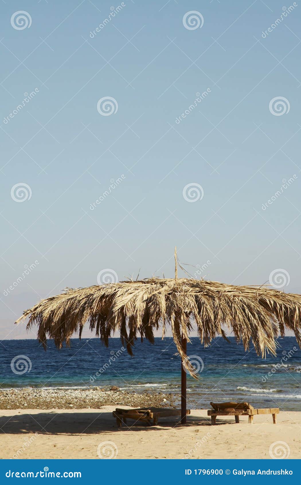 Beach parasol stock photo. Image of beach, shrubs, ocean - 1796900