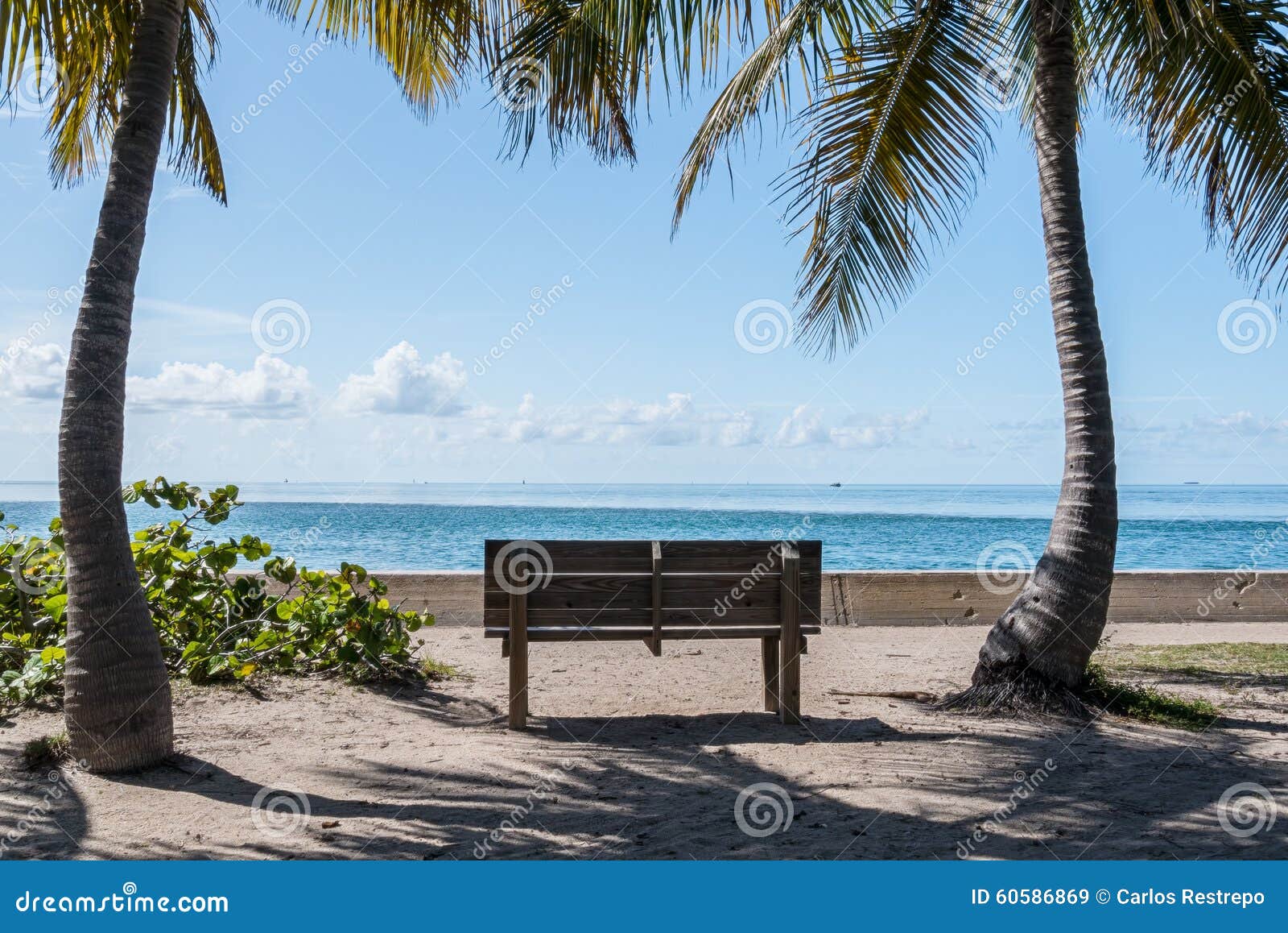 Beach park bench stock image. Image of coast, water, stone - 60586869