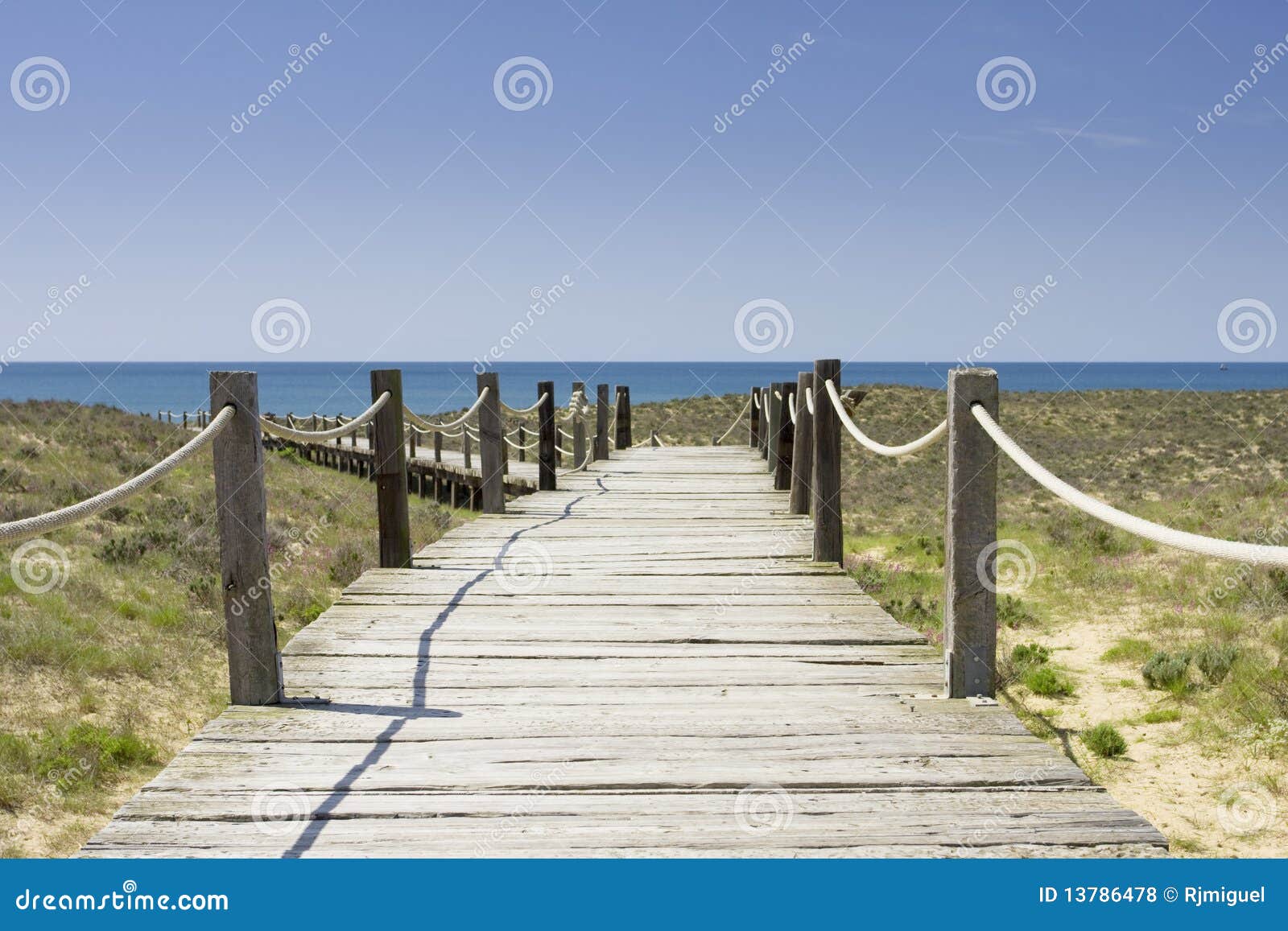 Beach path stock photo. Image of pathway, freedom, relax - 13786478