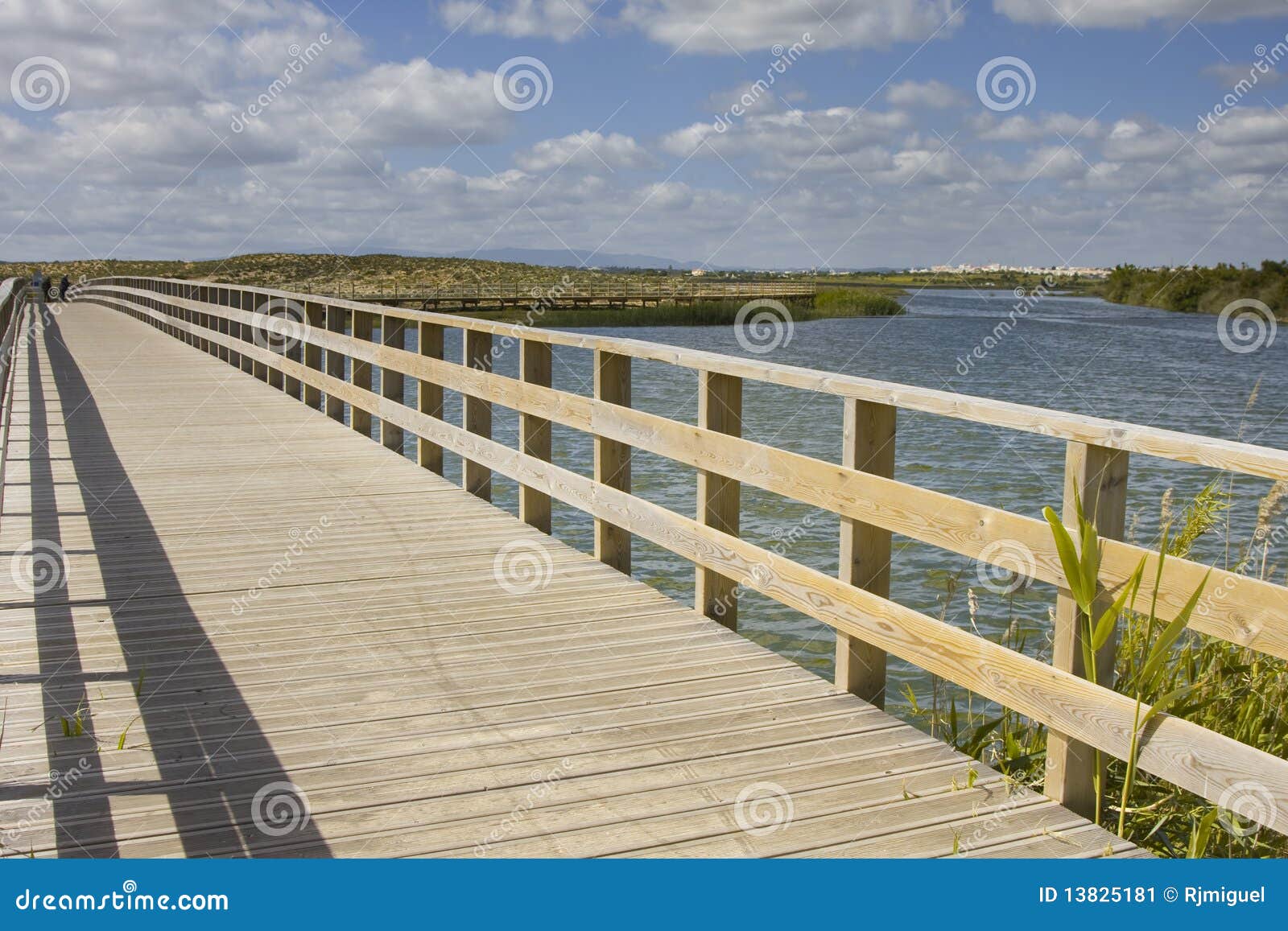Beach path stock image. Image of natural, destination - 13825181