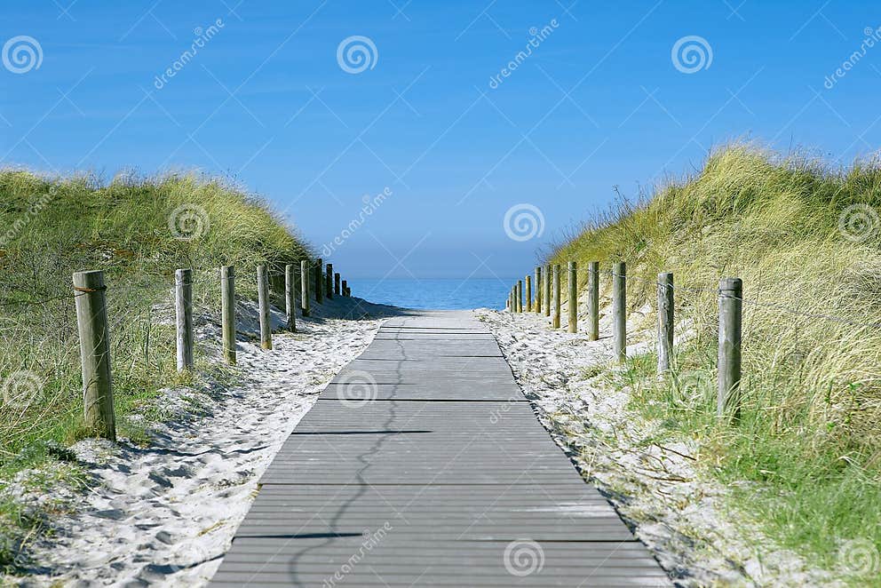 Beach path stock image. Image of fence, pavement, deserted - 19597291