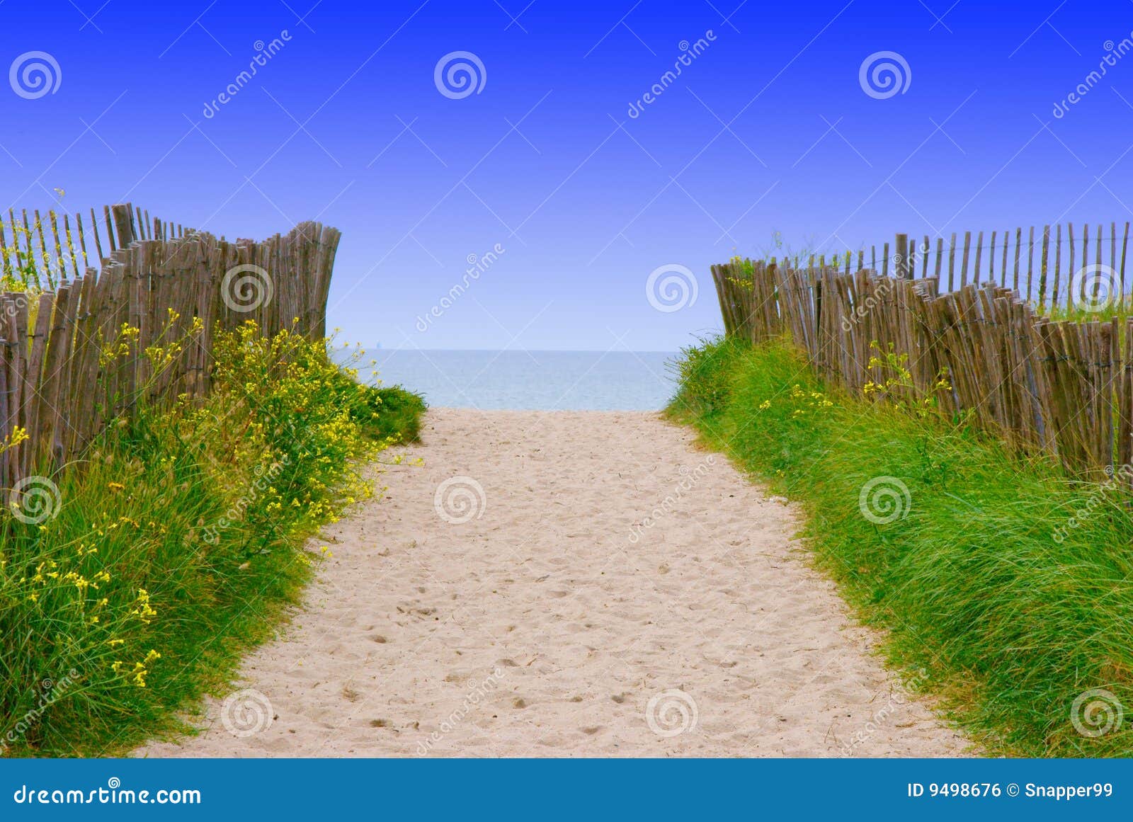 Beach Path 2 stock photo. Image of vacation, sunny, grass - 9498676