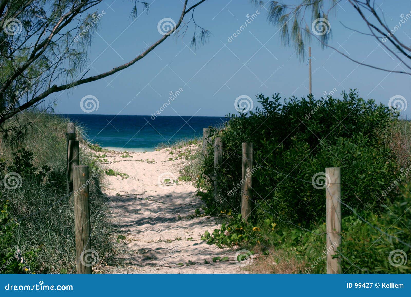 Beach Path stock image. Image of blue, trees, sand, aqua - 99427