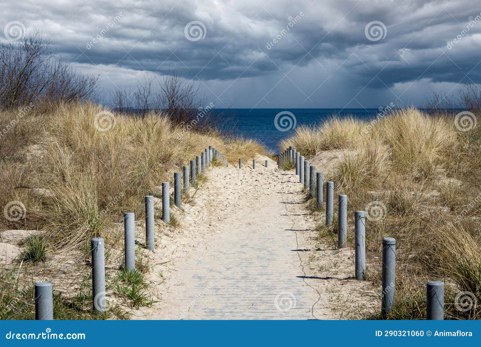 Beach Path on the Baltic Sea with Storm Clouds Stock Photo - Image of ...