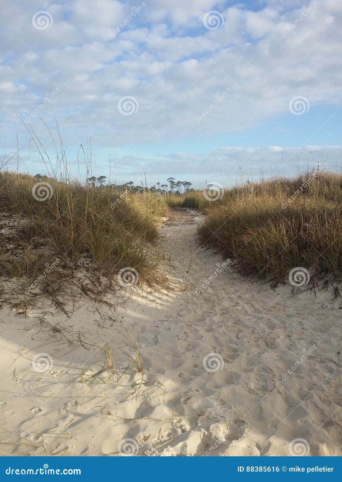 Beach path stock photo. Image of dunes, path, beach, walkway - 88385616