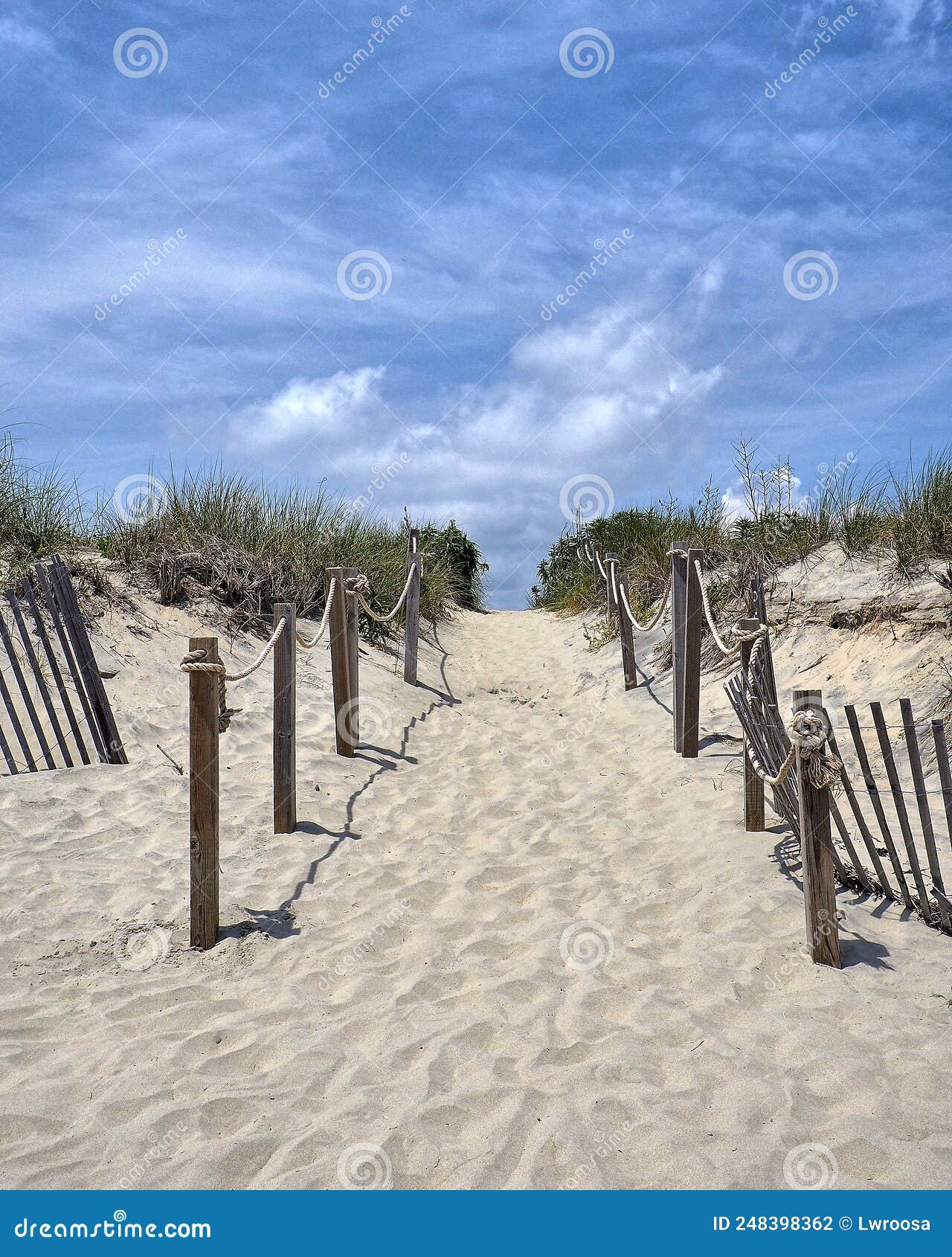 Beach Path stock photo. Image of outer, path, beach - 248398362