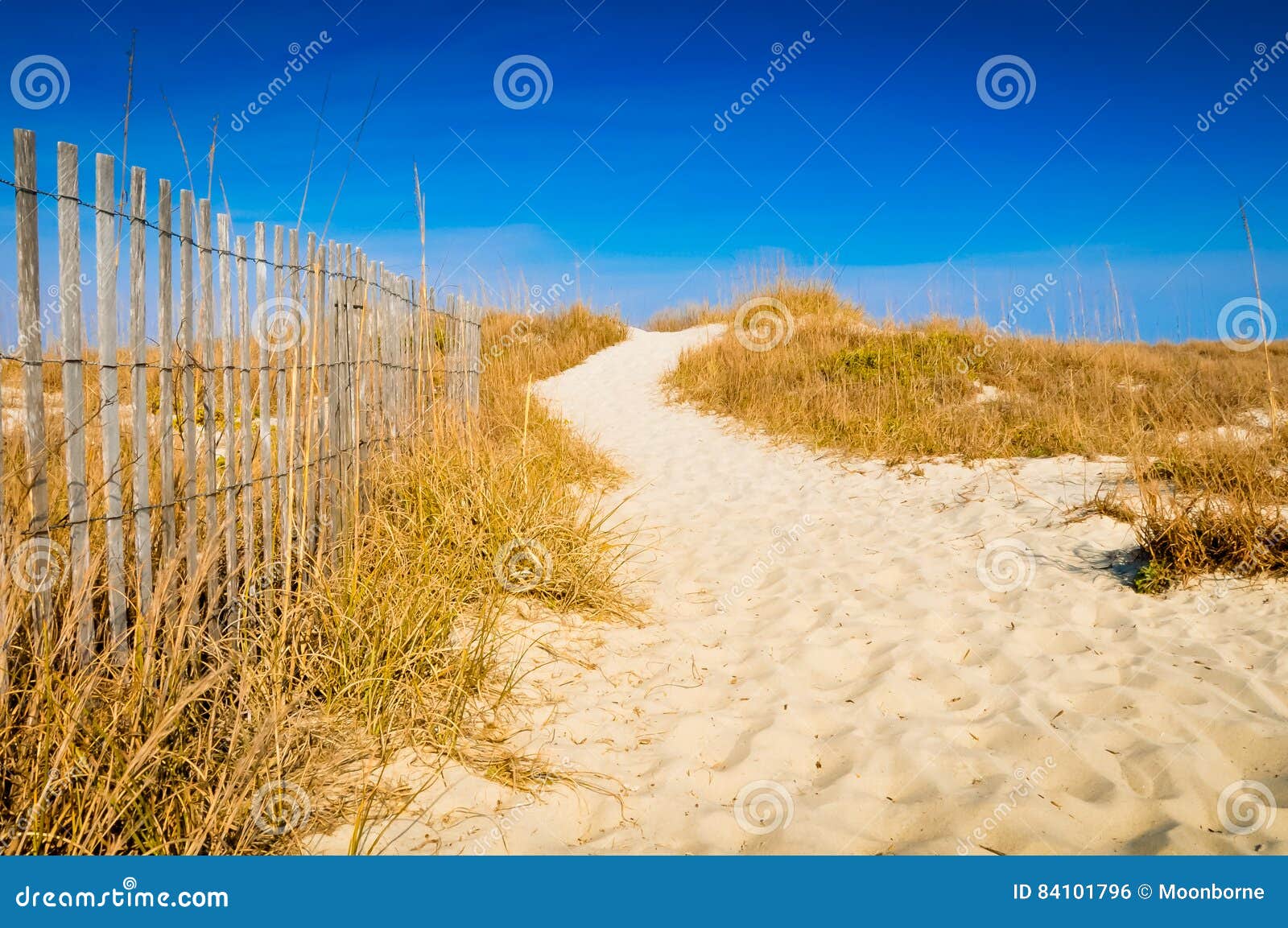 Beach Path stock photo. Image of idyllic, atlantic, edge - 84101796