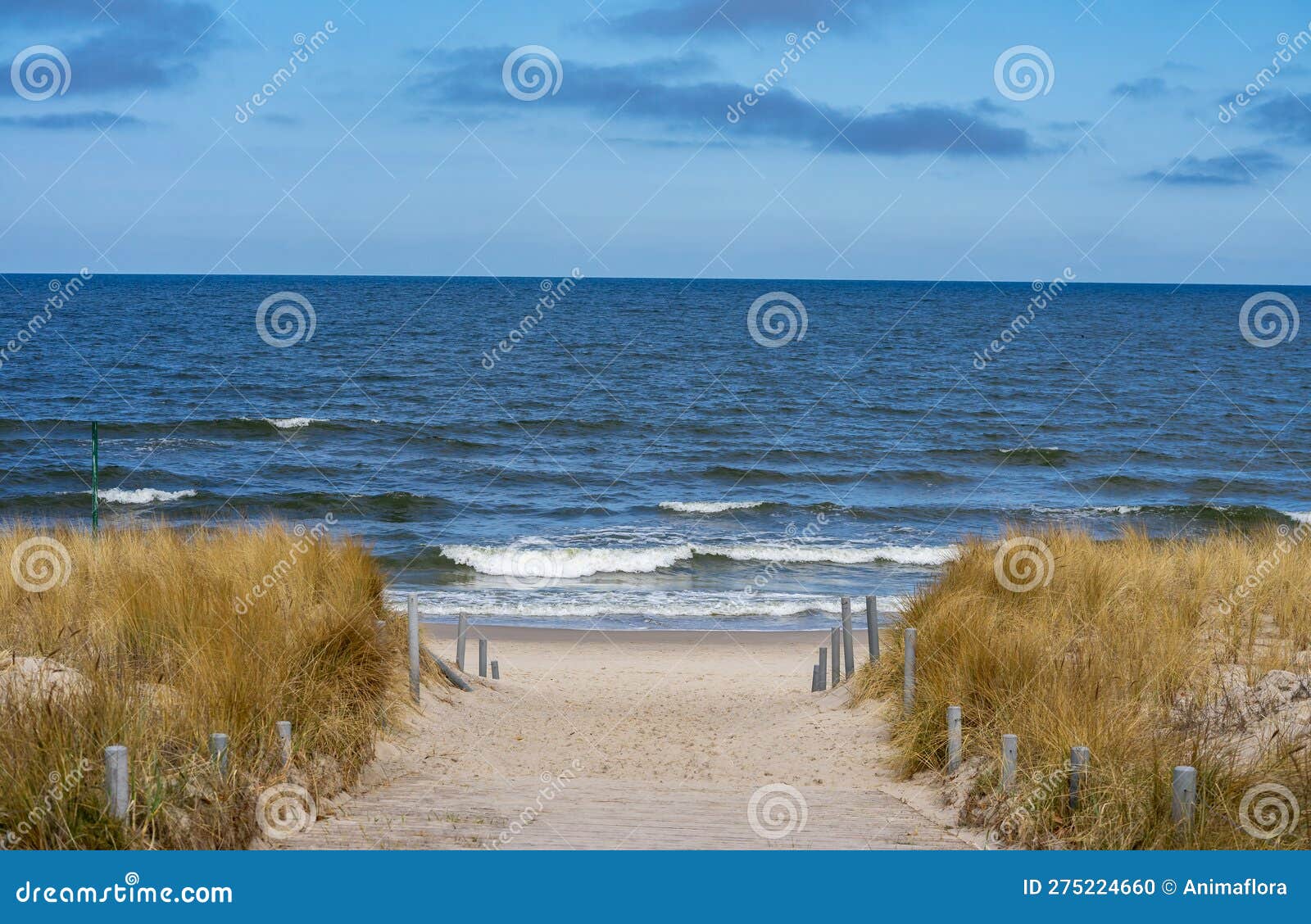 Beach Path Sand Dunes and Sea Stock Photo - Image of water, coastline ...