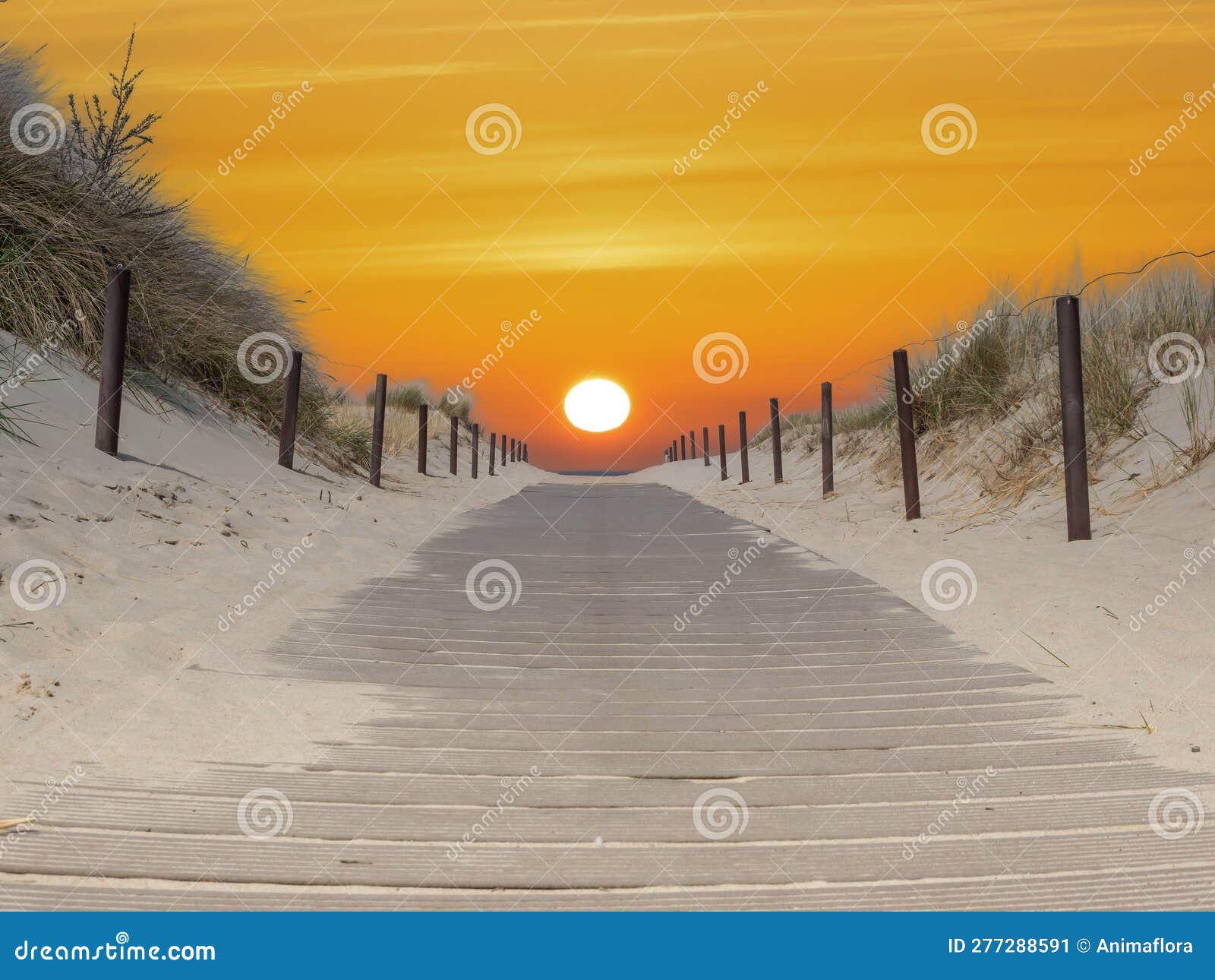 Beach Path with Sunrise on the Baltic Sea Stock Image - Image of path ...