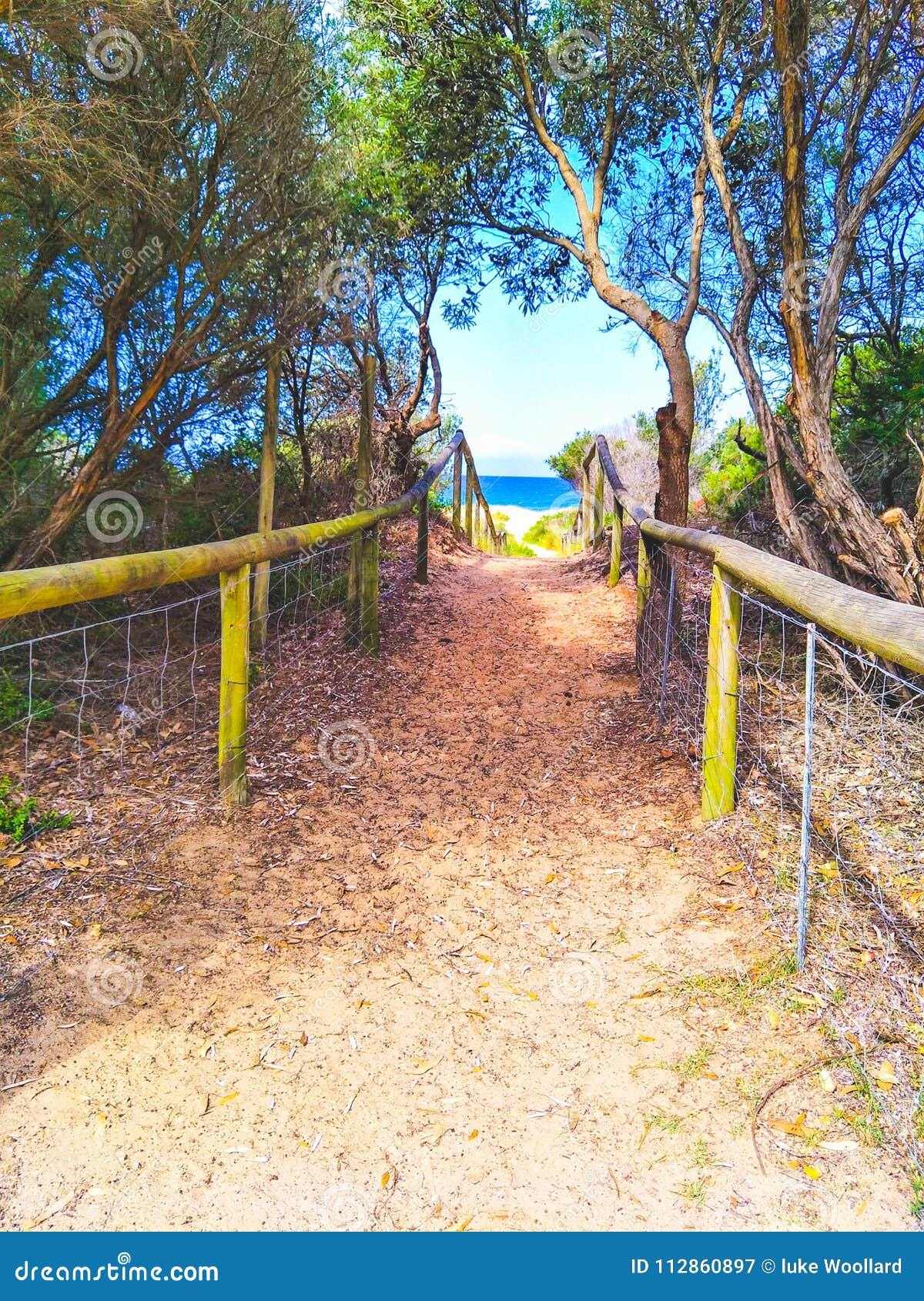 Beach path stock image. Image of beach, track, tathra - 112860897