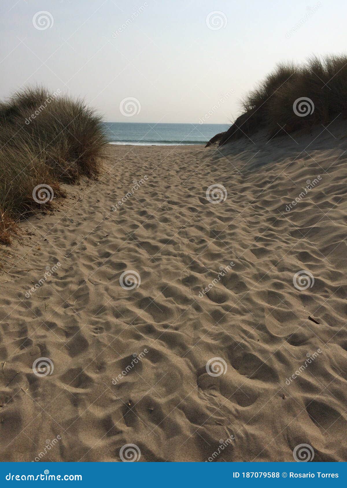 Beach paths stock photo. Image of paths, ocean, sand - 187079588