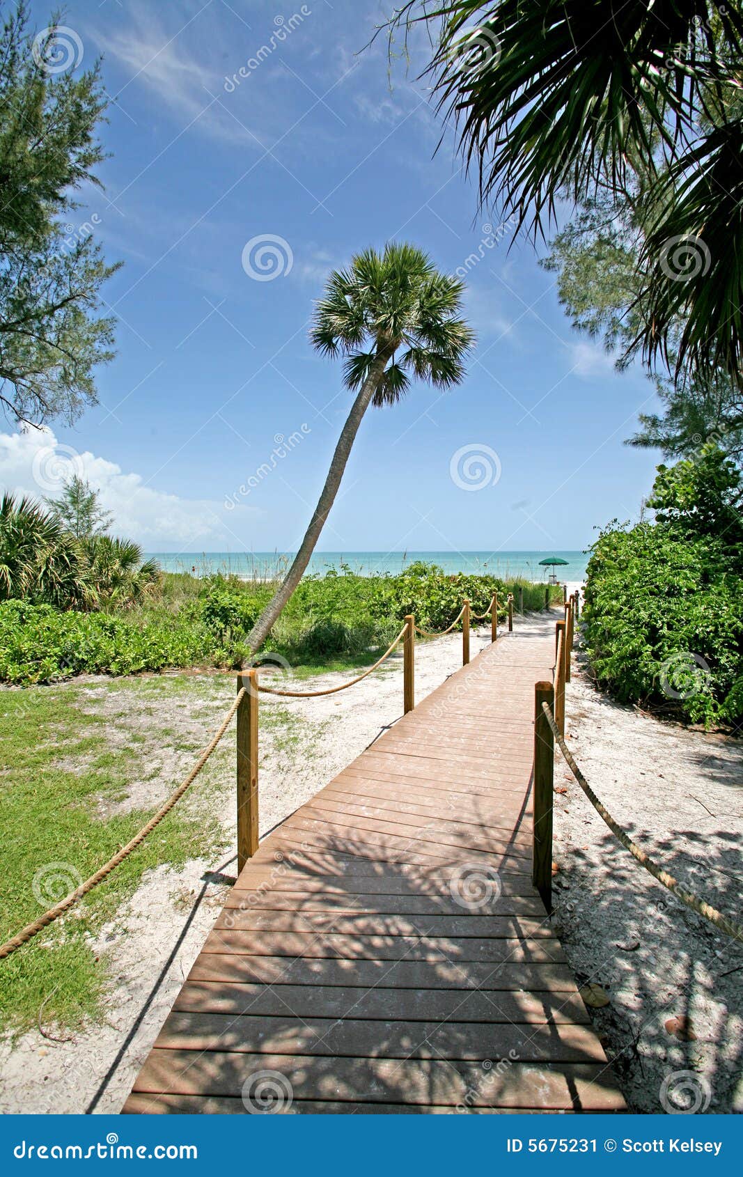 Beach Pathway stock image. Image of beach, sanibel, tropics - 5675231