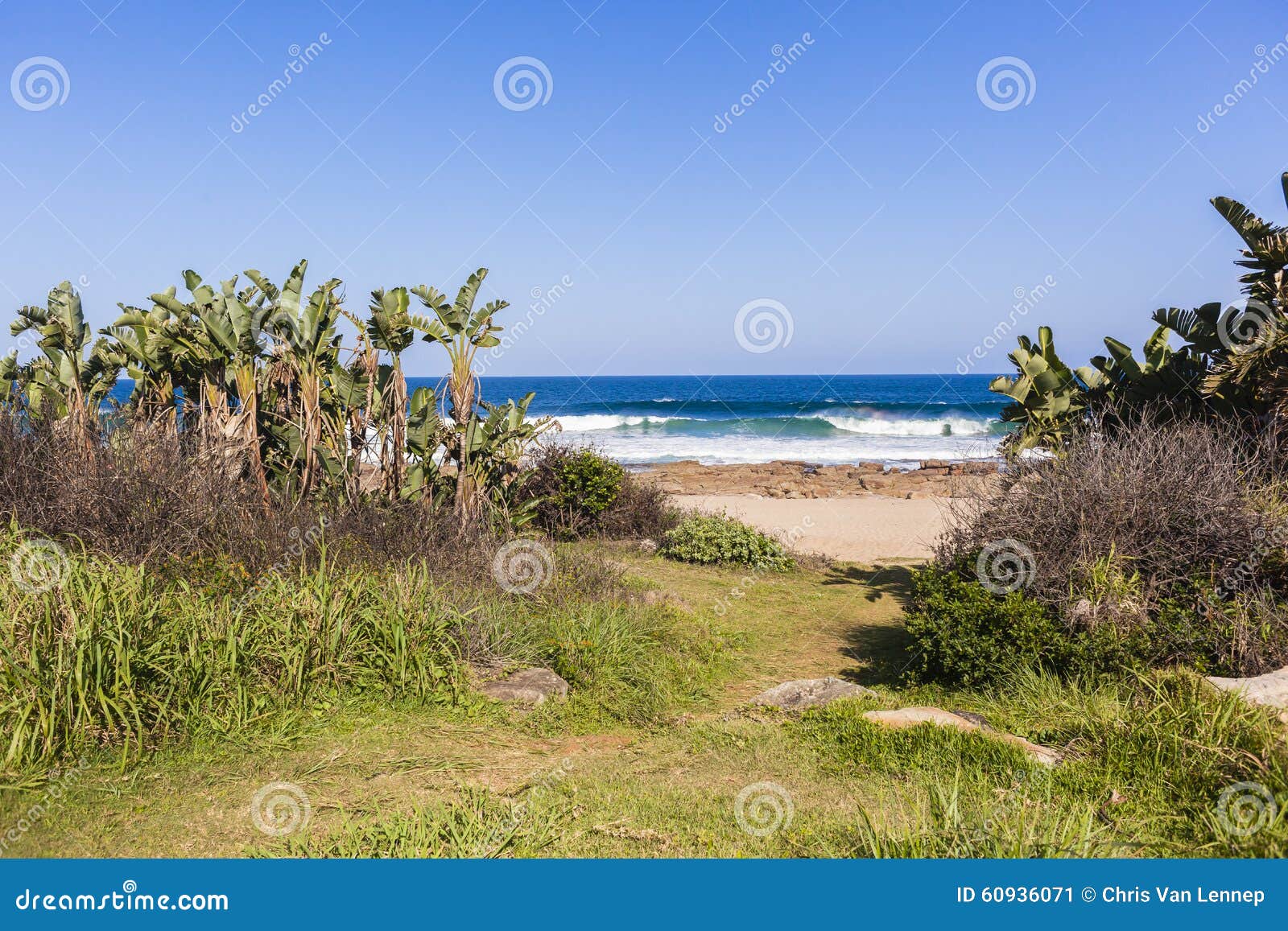 Beach Pathway Ocean stock image. Image of coast, blue - 60936071