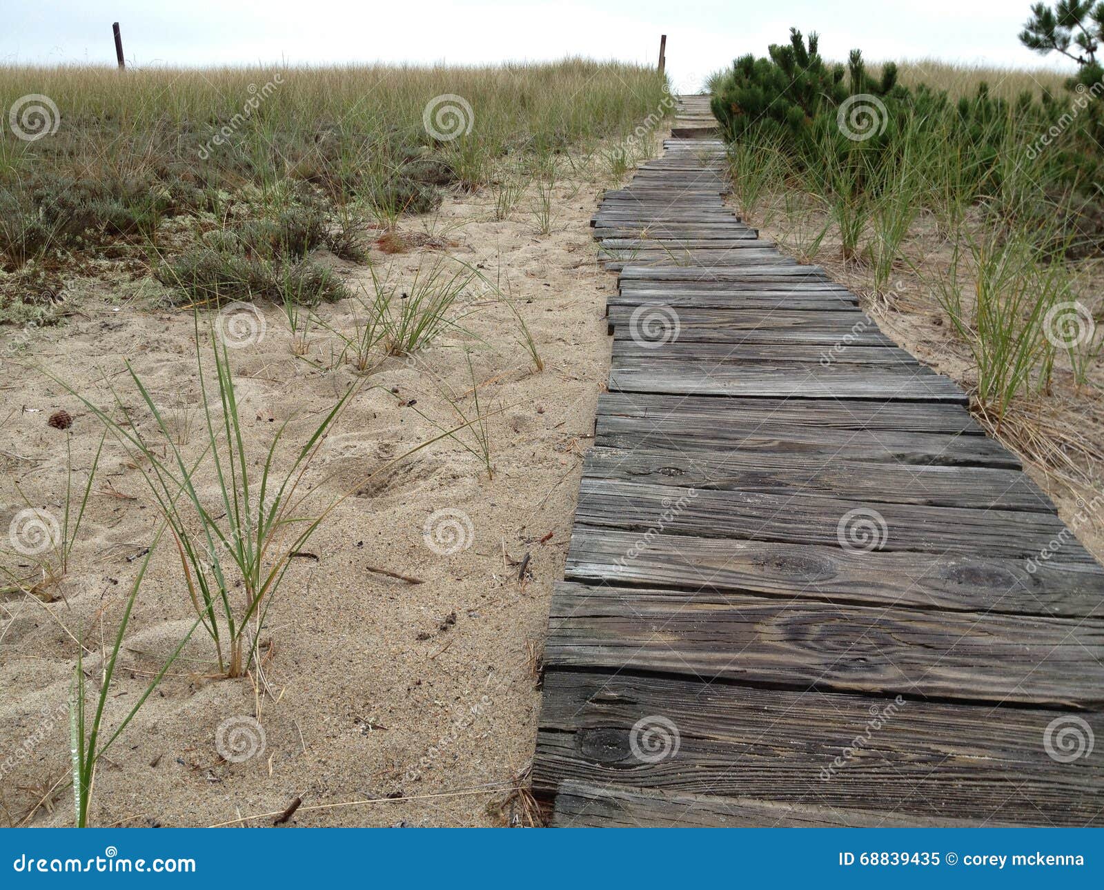 Beach pathway stock image. Image of beach, coast, walkway - 68839435