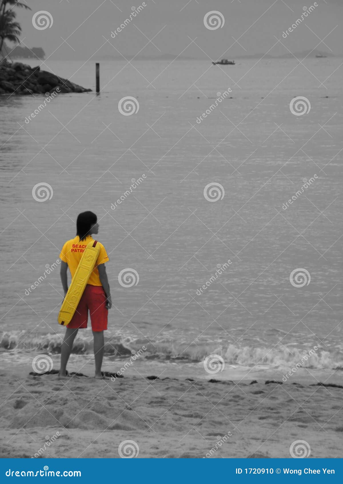 Beach patrol lifeguard stock photo. Image of duty, lifeguard - 1720910