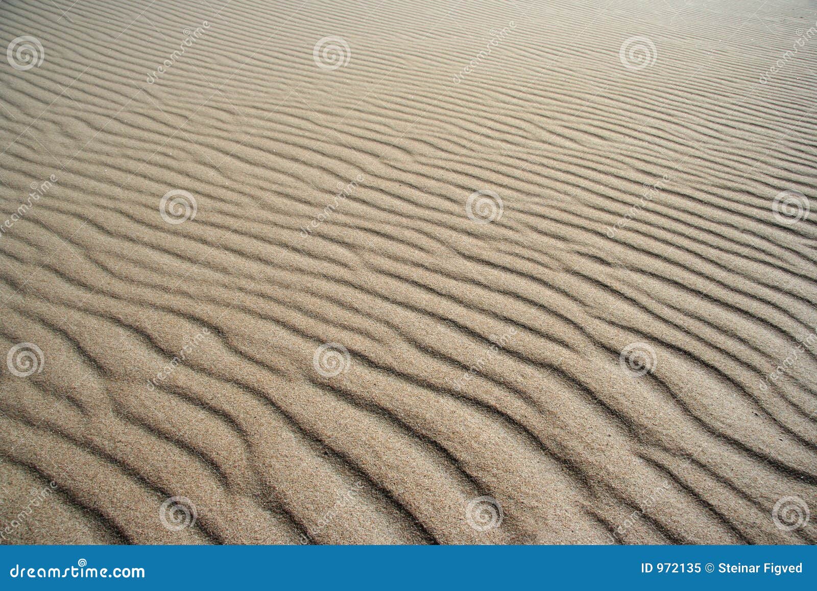 Beach Patterns Royalty-Free Stock Photo | CartoonDealer.com #972135