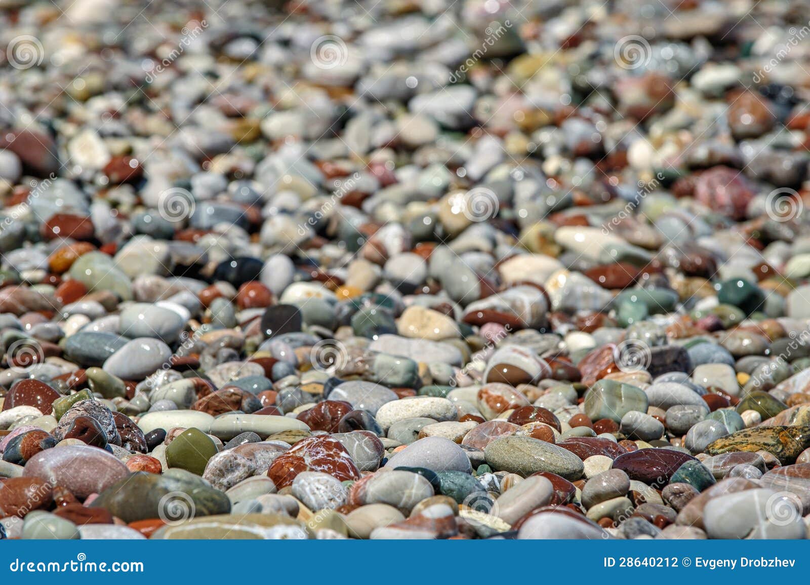 Beach pebble stock photo. Image of material, round, surface - 28640212