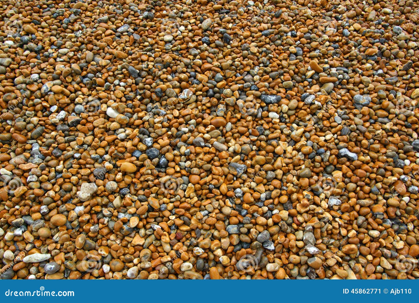 Beach Pebbles stock image. Image of shell, shore, pebbles - 45862771