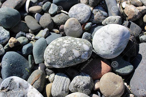 Beach pebbles stock photo. Image of material, object - 94781316