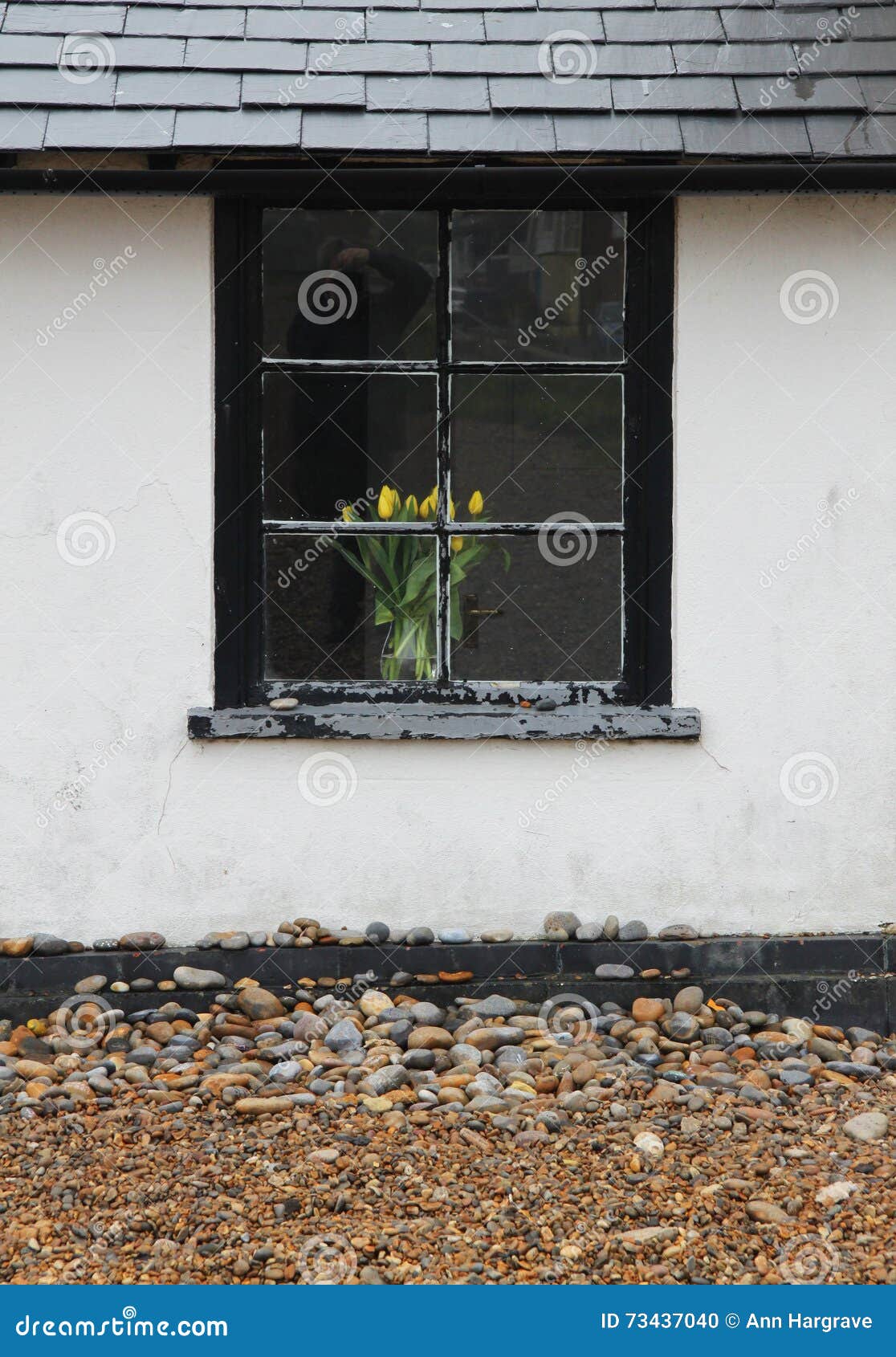 Beach Pebbles with Names and Messages Stock Photo - Image of writing ...