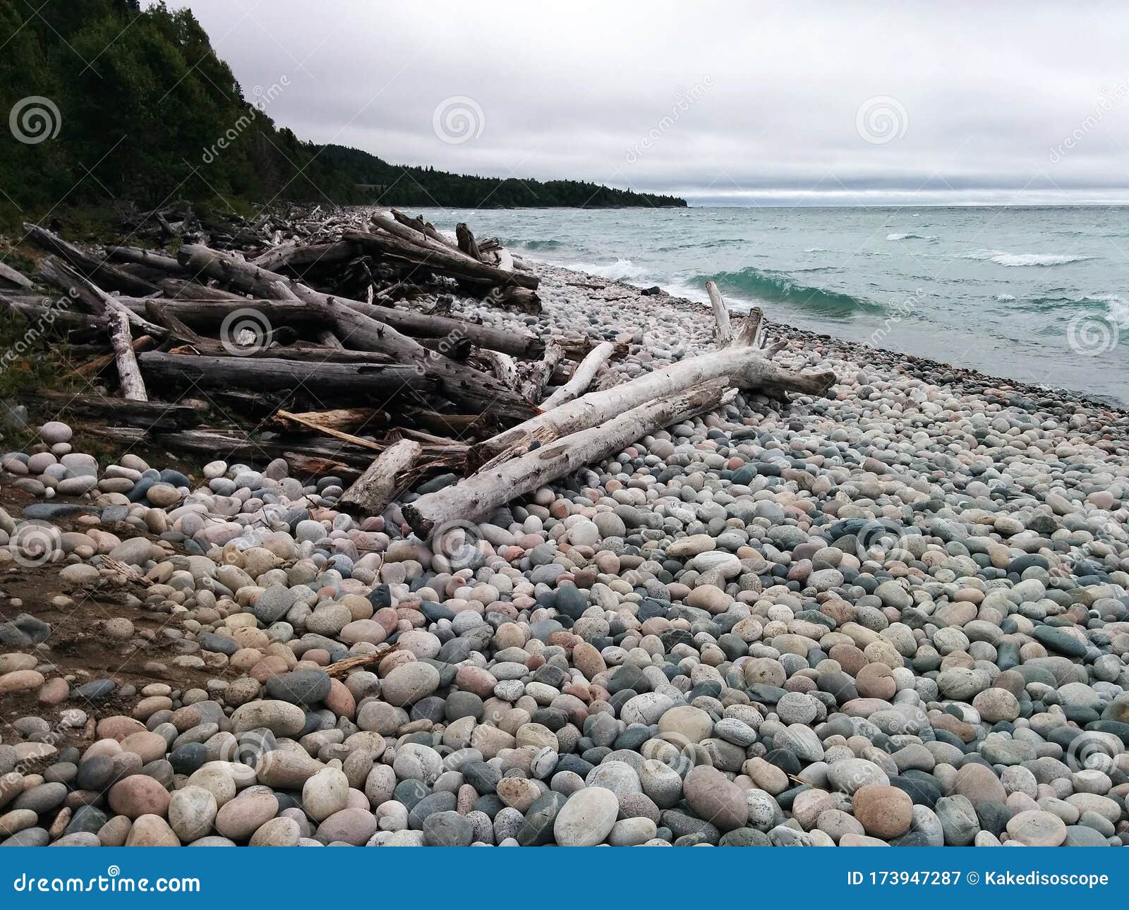 Beach with Logs and Rocks stock image. Image of blue - 173947287