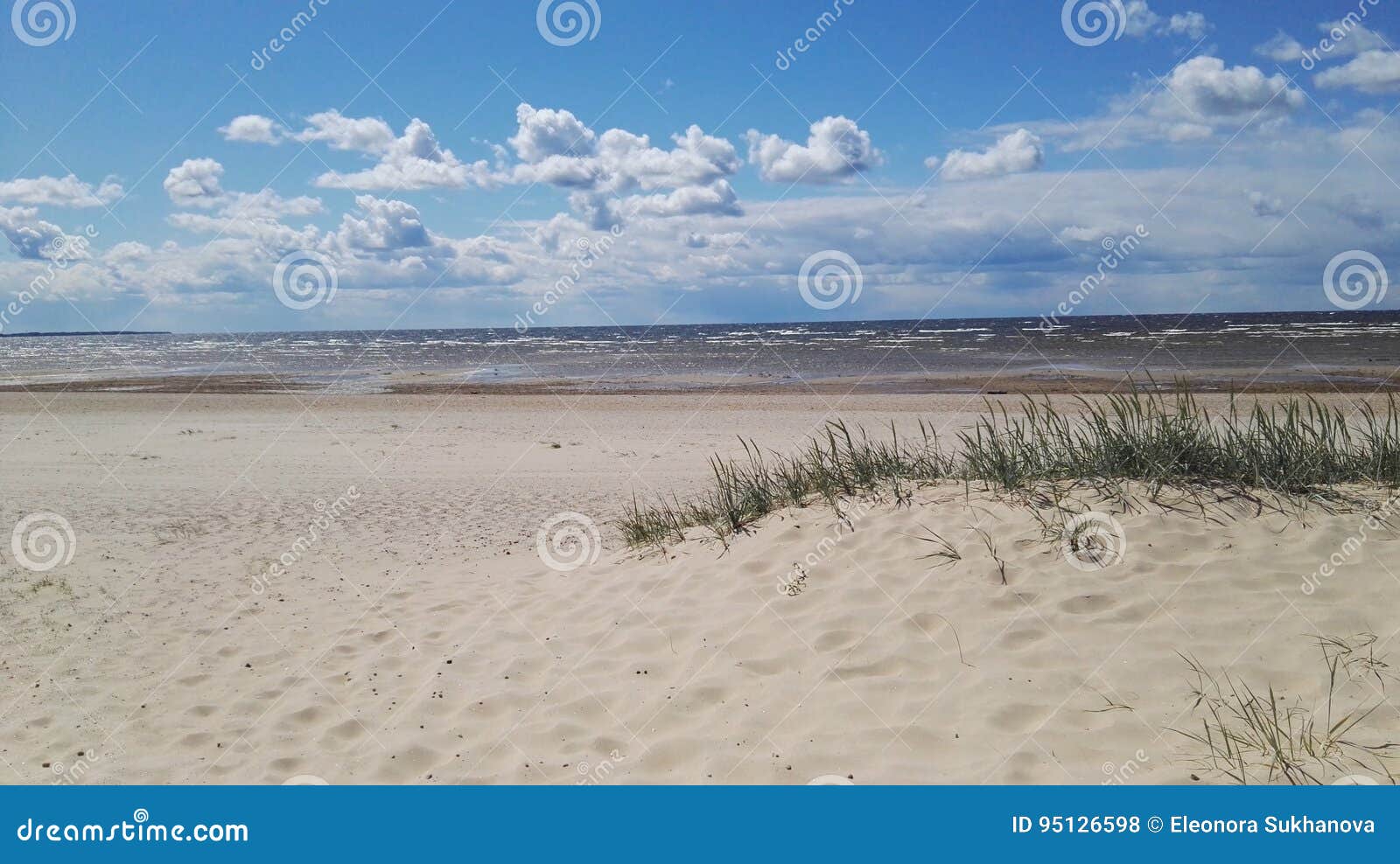 Beach on Peipsi lake stock photo. Image of lake, clouds - 95126598