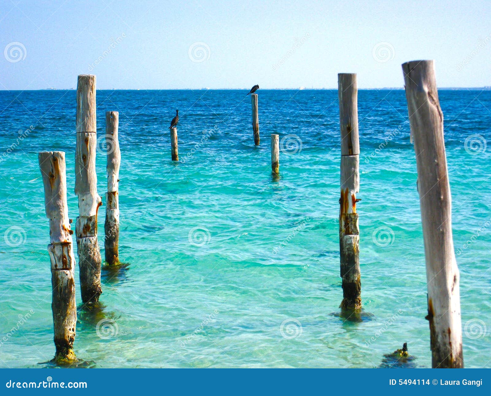 Beach Pier Posts with Birds Stock Photo - Image of fishing, beach: 5494114