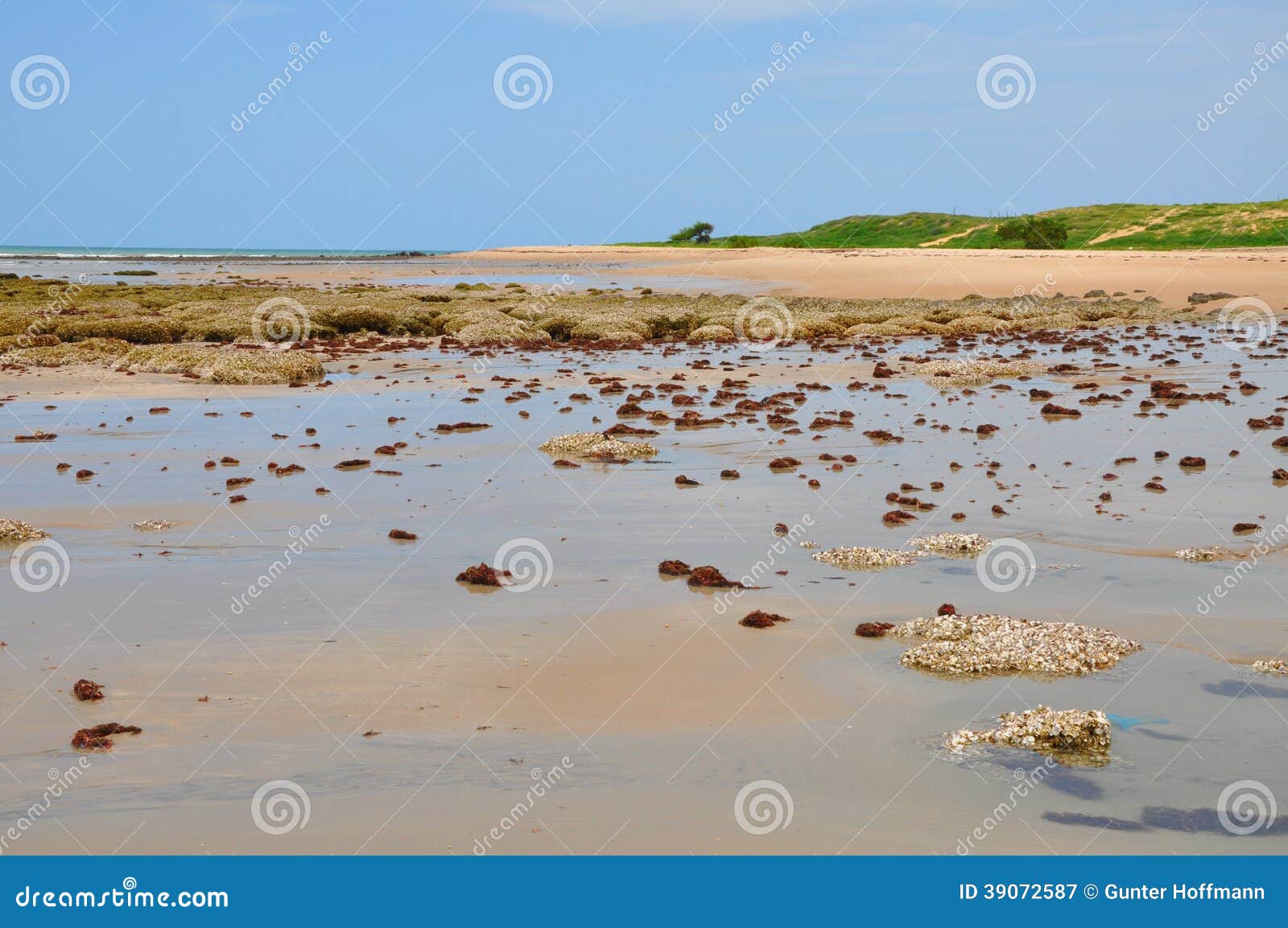 Beach of Pititinga, Natal (Brazil) Stock Image - Image of horizontal ...