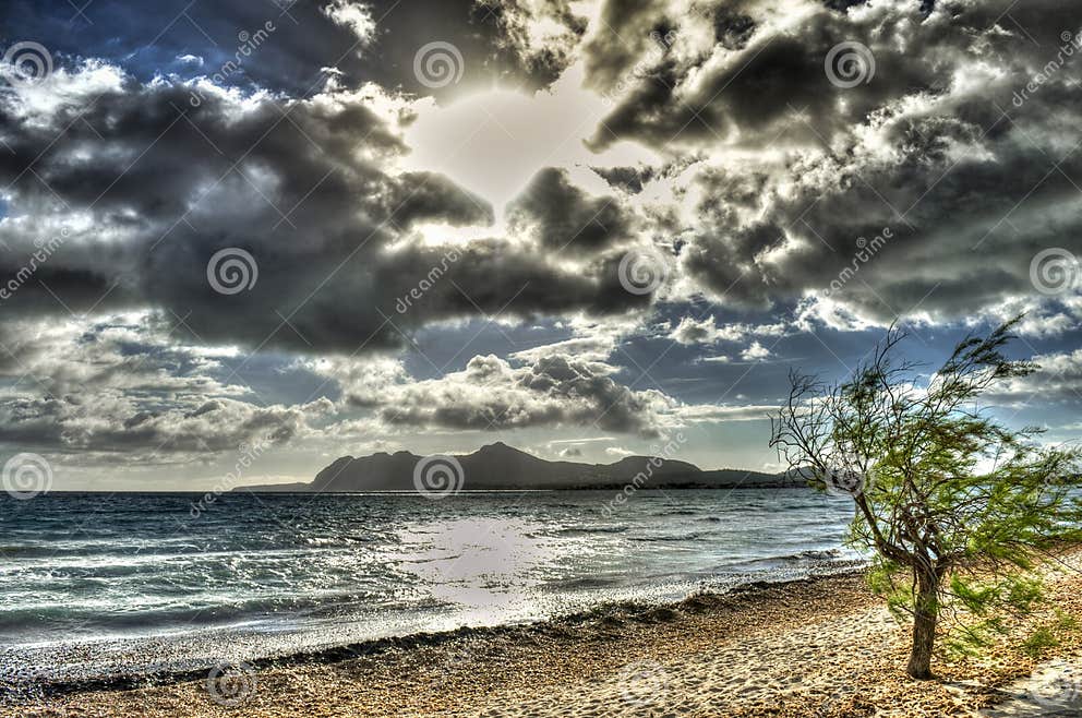 Beach of PollenÃ§a & X28;Mallorca& X29; Stock Image - Image of ...