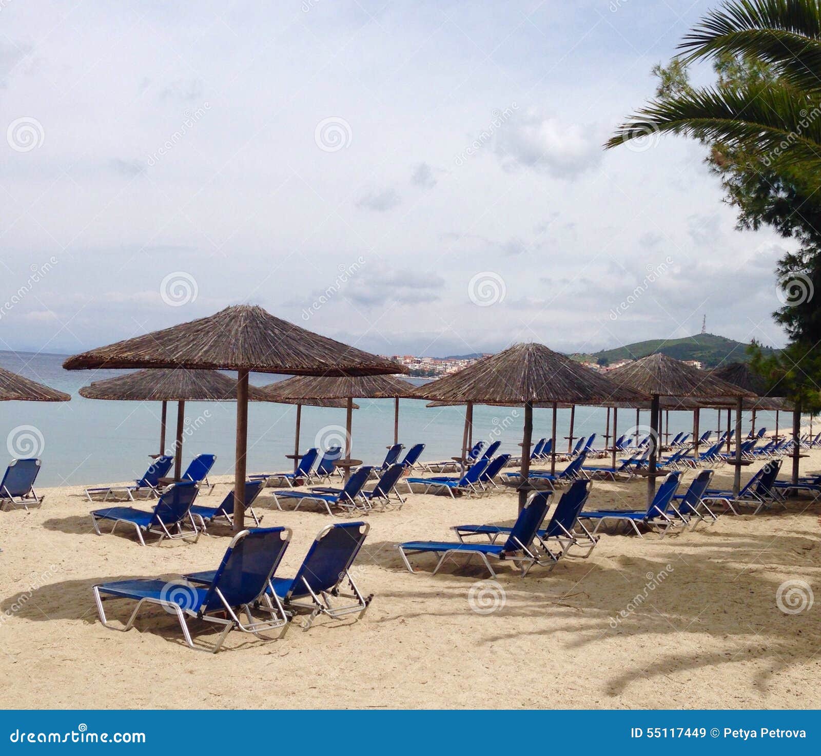 Beach in Porto Carras, Greece Stock Image - Image of greece, holiday ...