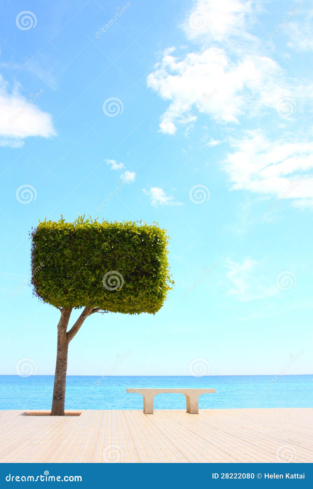 Beach Promenade stock photo. Image of landscaped, green - 28222080