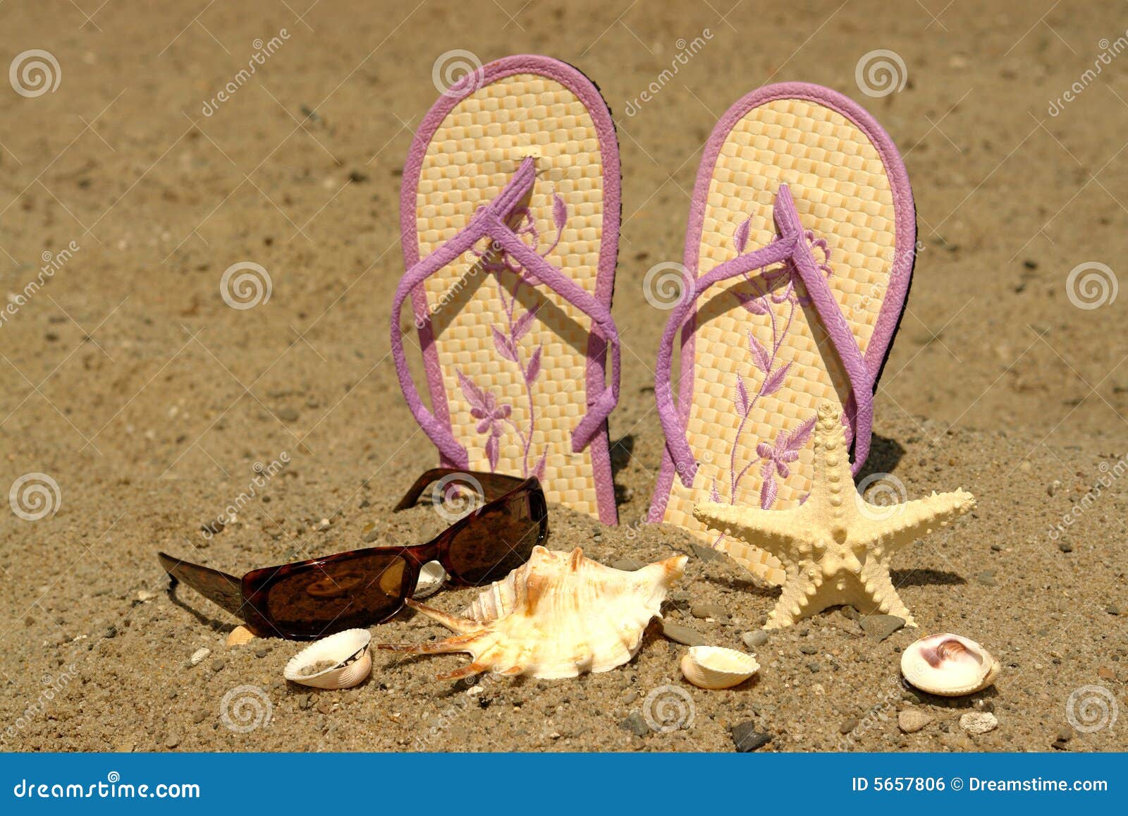Beach props stock photo. Image of flops, sunny, seashell - 5657806