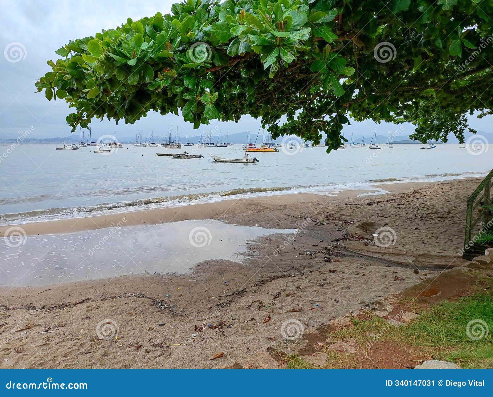 Beach with Puddles of Water after Rain Stock Image - Image of natural, showing: 340147031