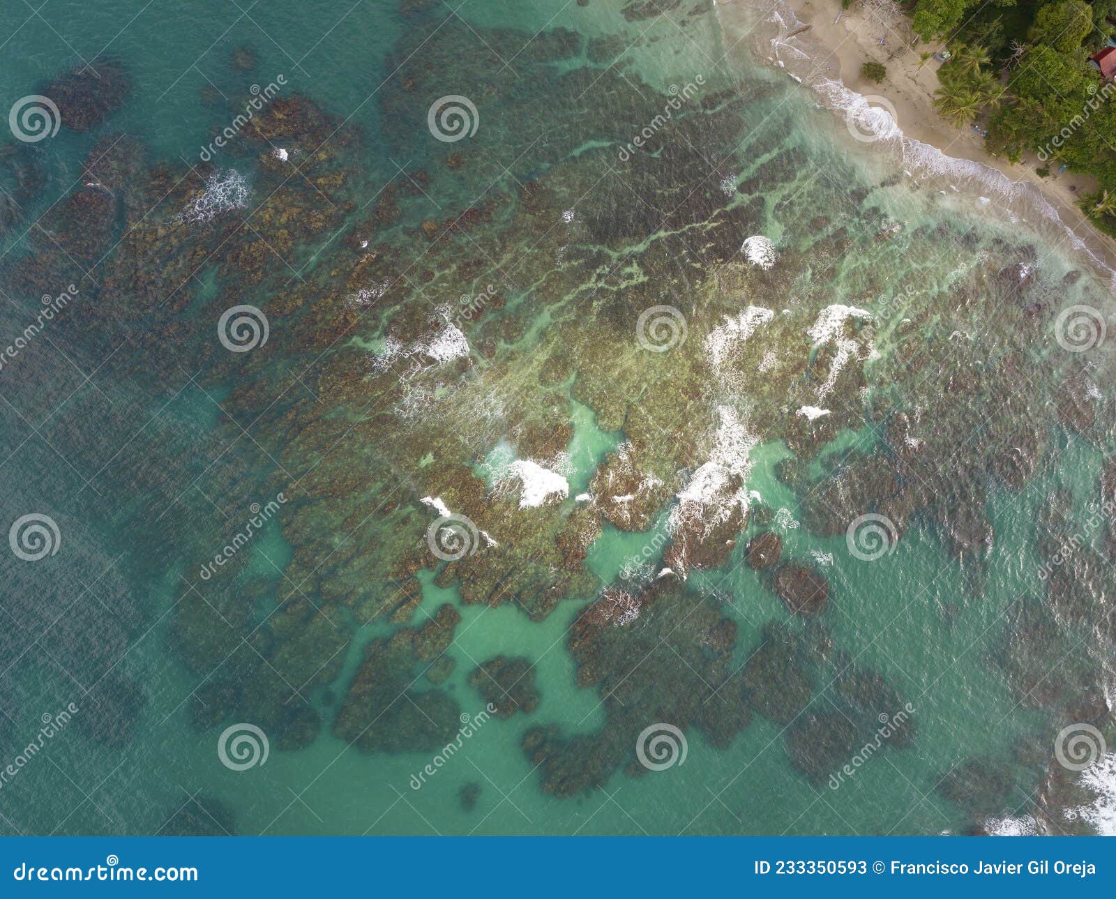 Beach in Punta Cocles, Limon Stock Image - Image of landscape, punta ...