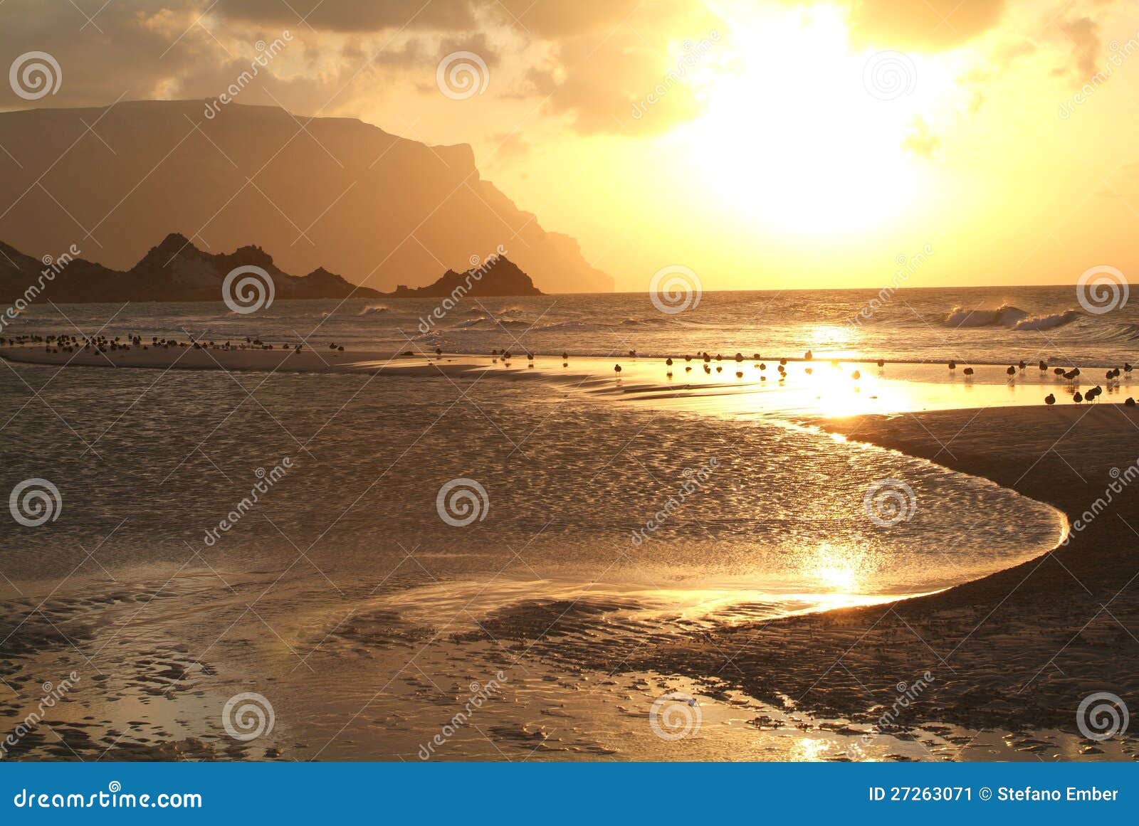 The Beach of Qalansiya at Socotra Island Stock Image - Image of ...