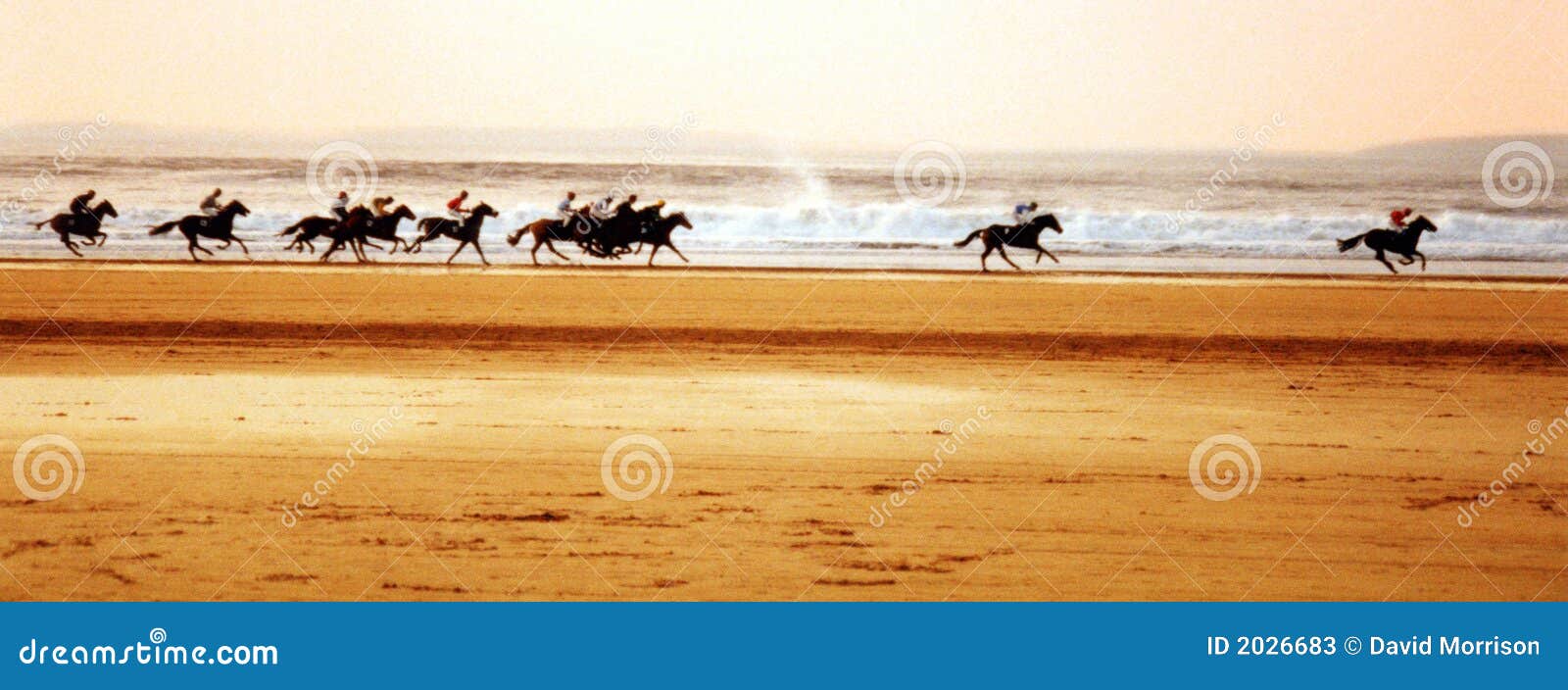 Beach races stock image. Image of beach, coast, nature - 2026683