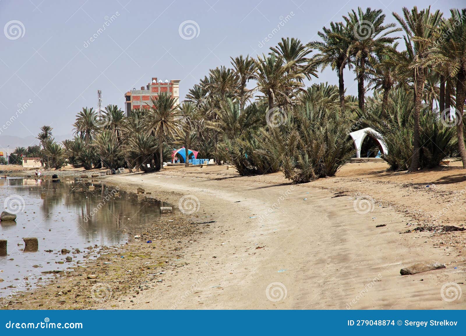 The Beach of Red Sea, Saudi Arabia Stock Photo - Image of sand, life ...