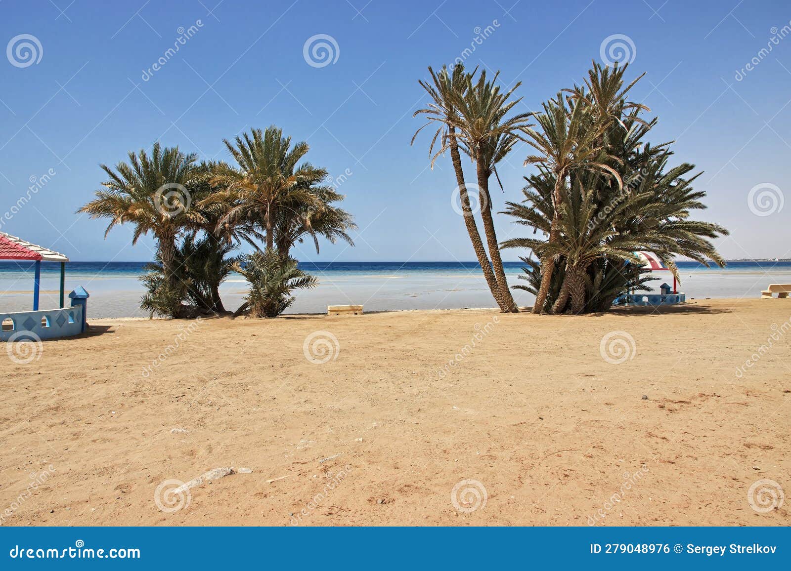 The Beach of Red Sea, Saudi Arabia Stock Photo - Image of desert, palm ...
