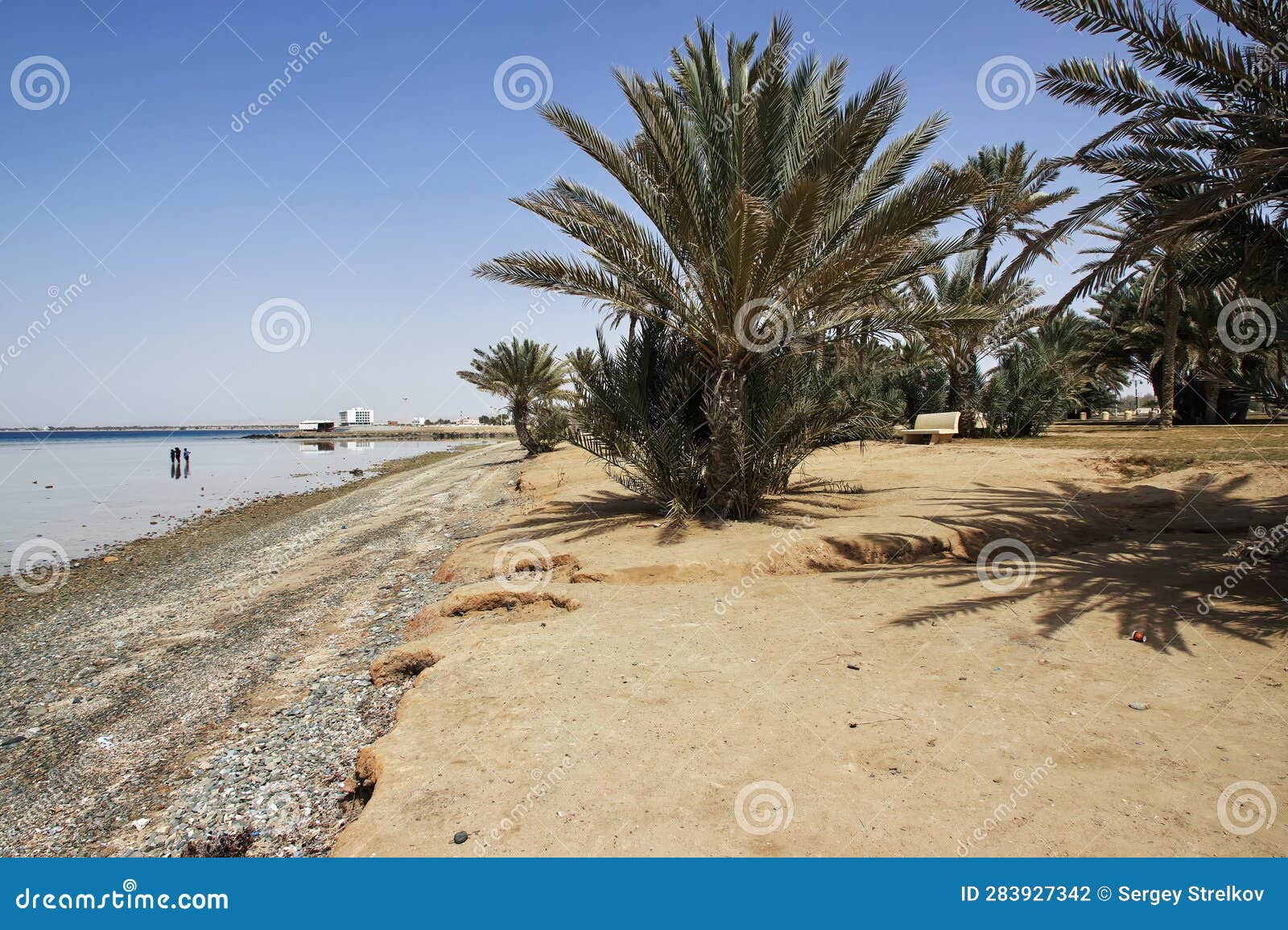 The Beach of Red Sea, Saudi Arabia Stock Photo - Image of town, village ...